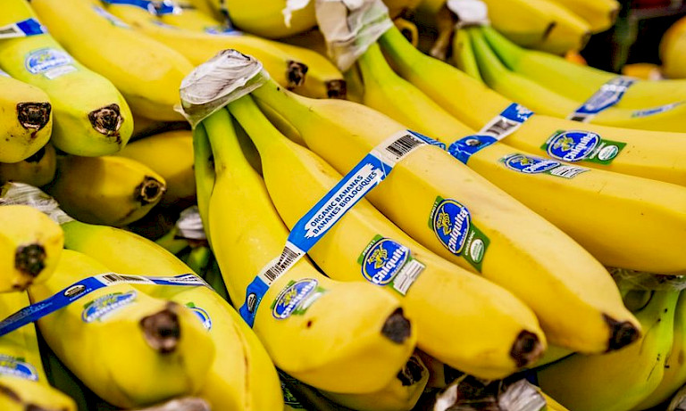 RPC Radio Panamá | RPC Radio